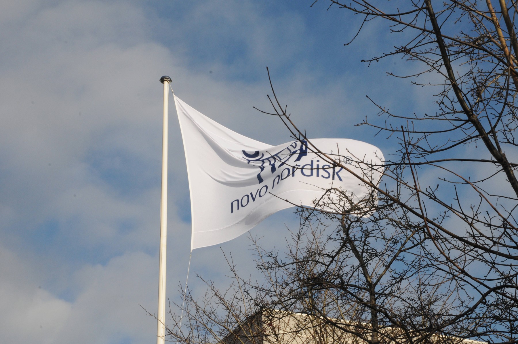 Novo Nordisk okaran, ker ni razkril milijonskih izplačil v zdravstvu ...